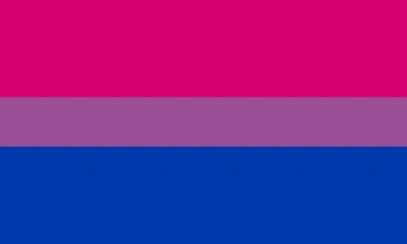 Best LGBTQ flag/identity from my OCs? | Fandom