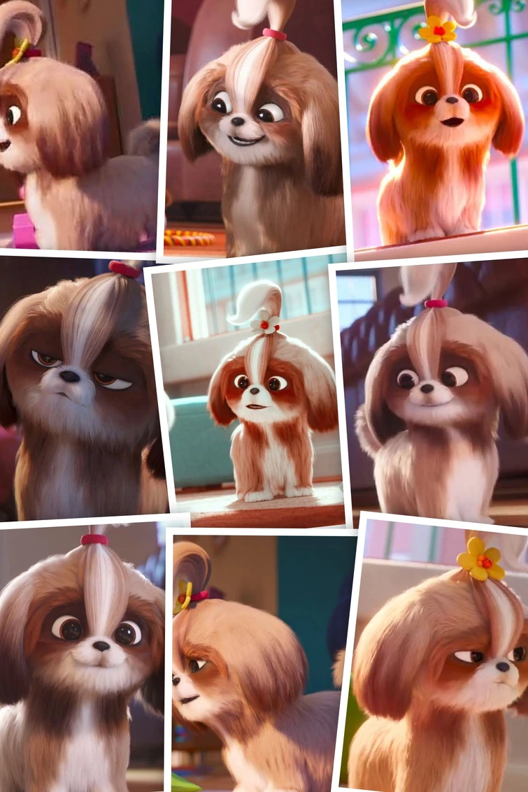 Another Daisy Collage | Fandom