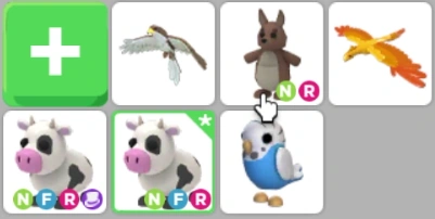 LF : NFR turtle/NFR kanga/any decent NFR out of game pet | Fandom