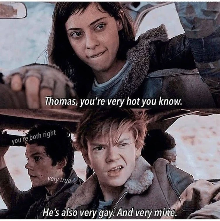 Newtmas Memes | Fandom