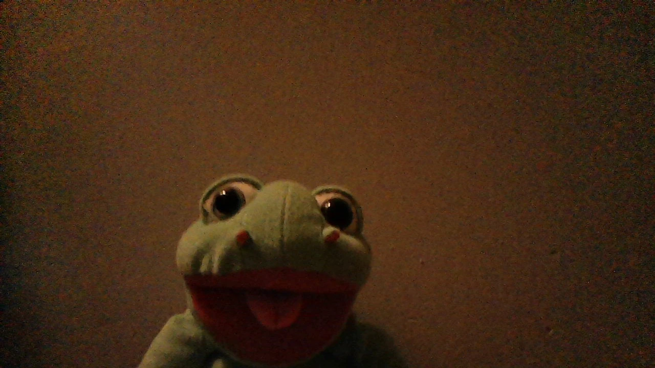 Face Reveal | Fandom