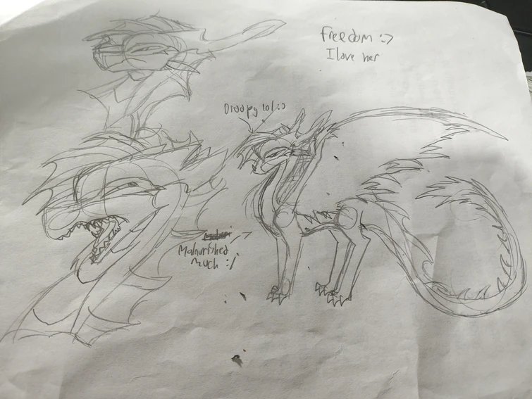 Discuss Everything About Wings of Fire Wiki | Fandom