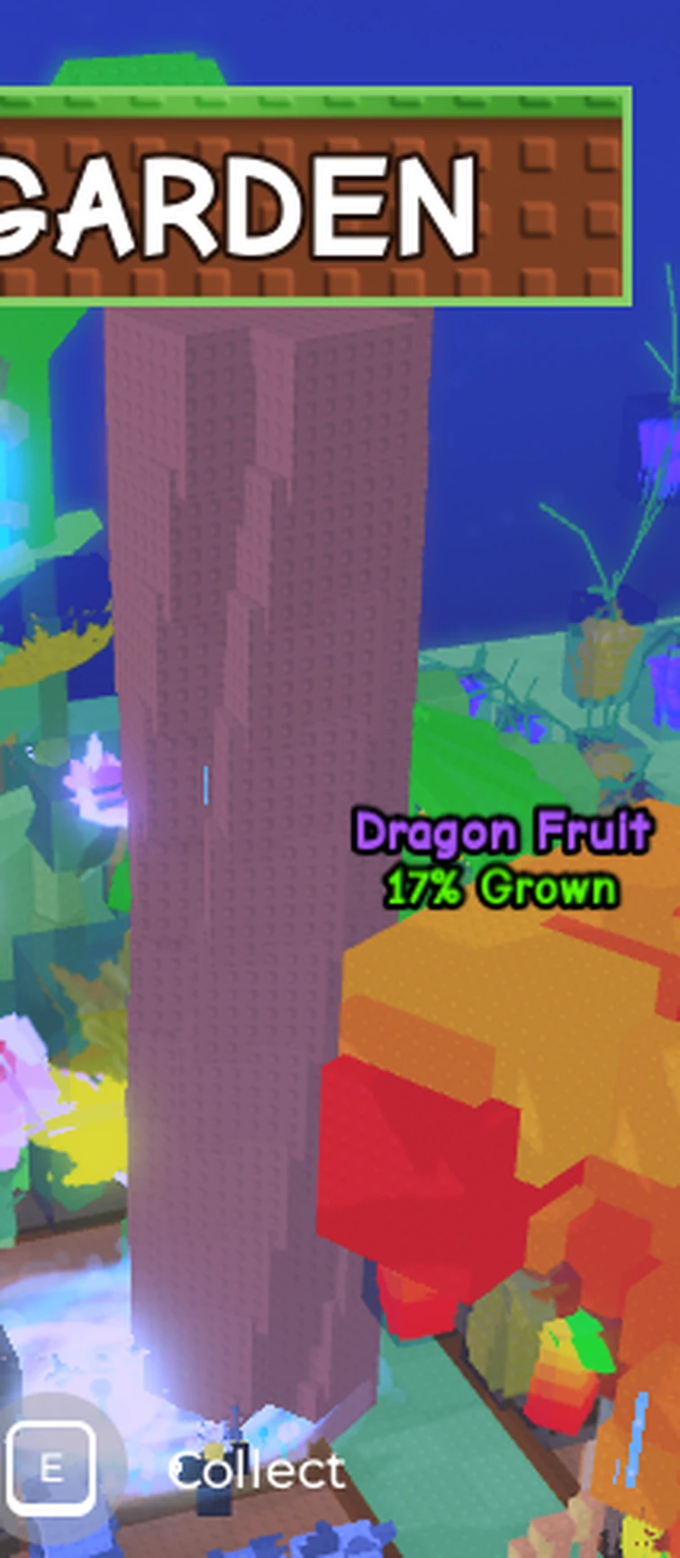 dragon fruit | Fandom