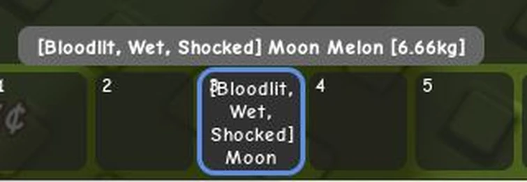 uh guys i just got a bloodlit shocked moon melon that is 6.66kg... | Fandom