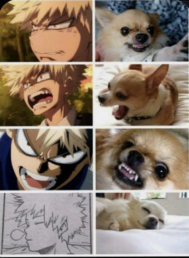 Angry boiii😂😩 | Fandom