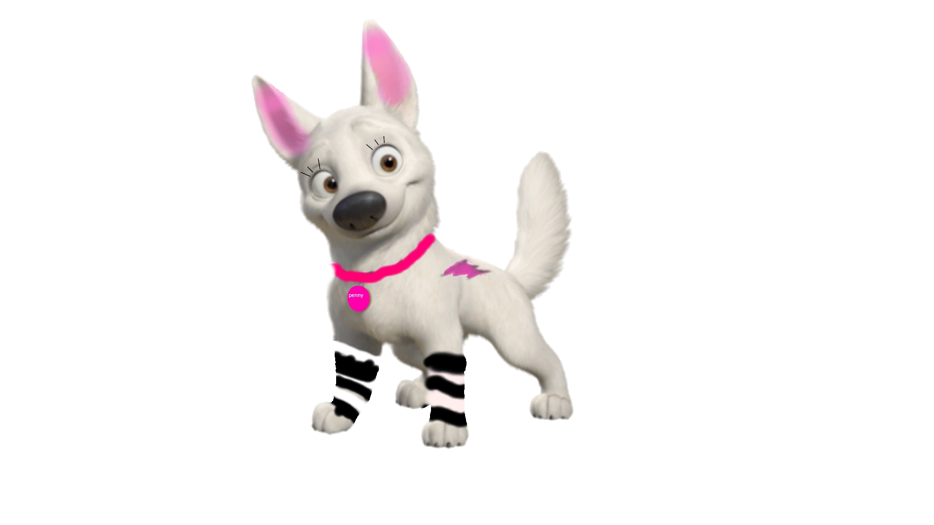 Dog Penny | Fandom