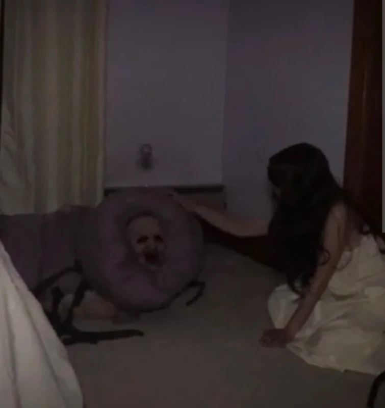 This is my pet ️ | Fandom