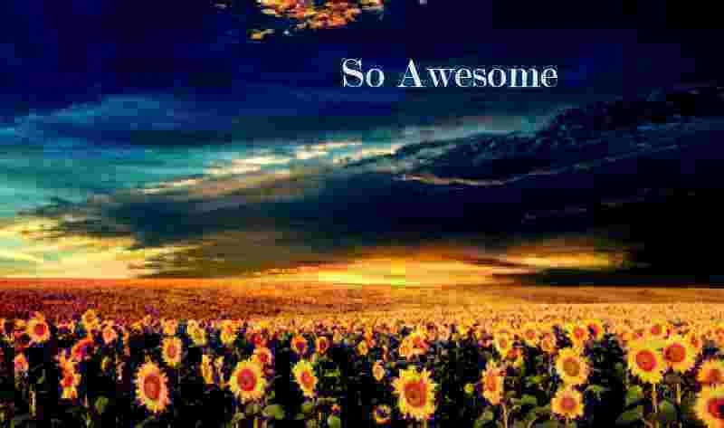 smiling friends x bfb au | Fandom