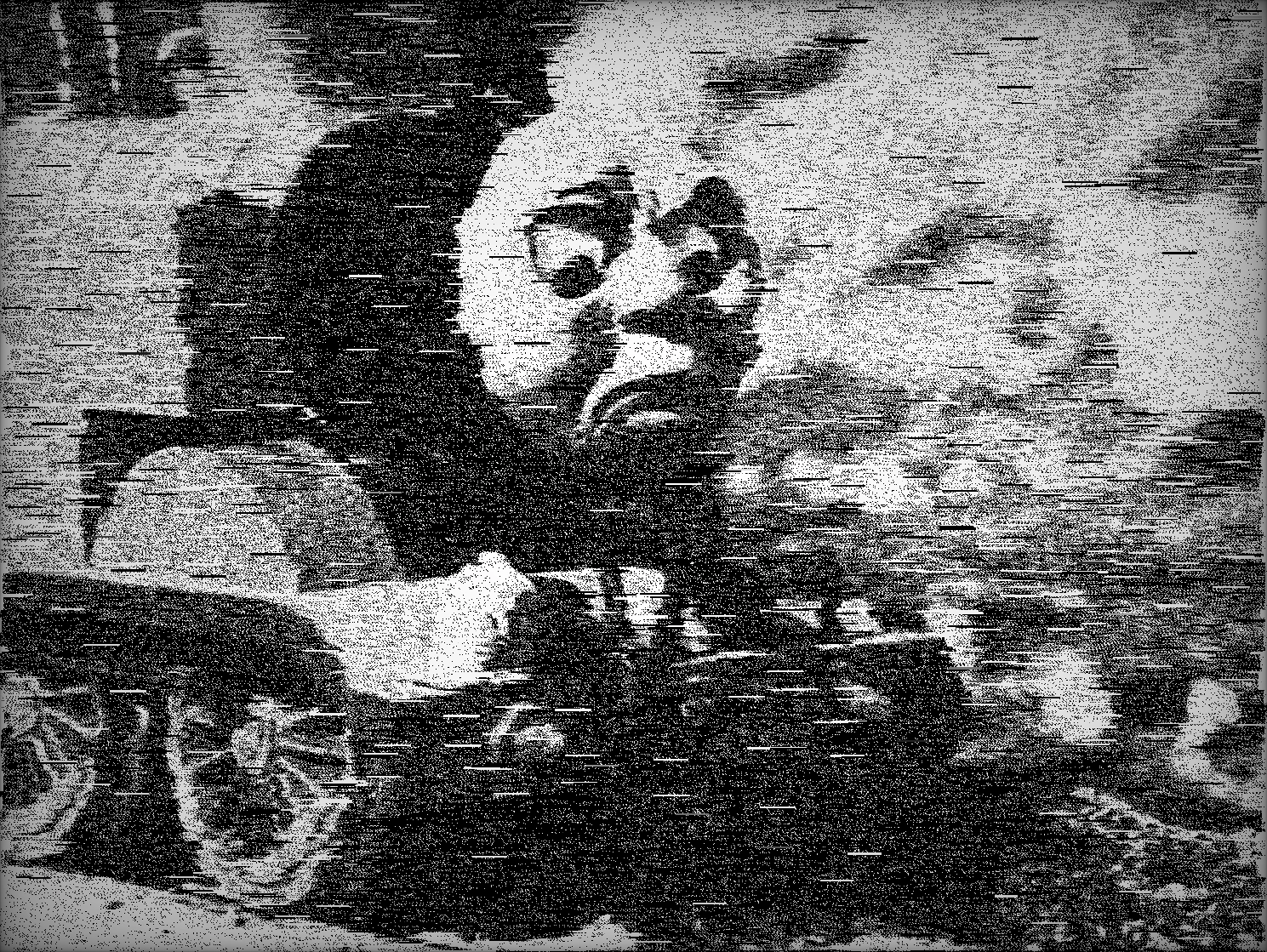 Black and white fella | Fandom