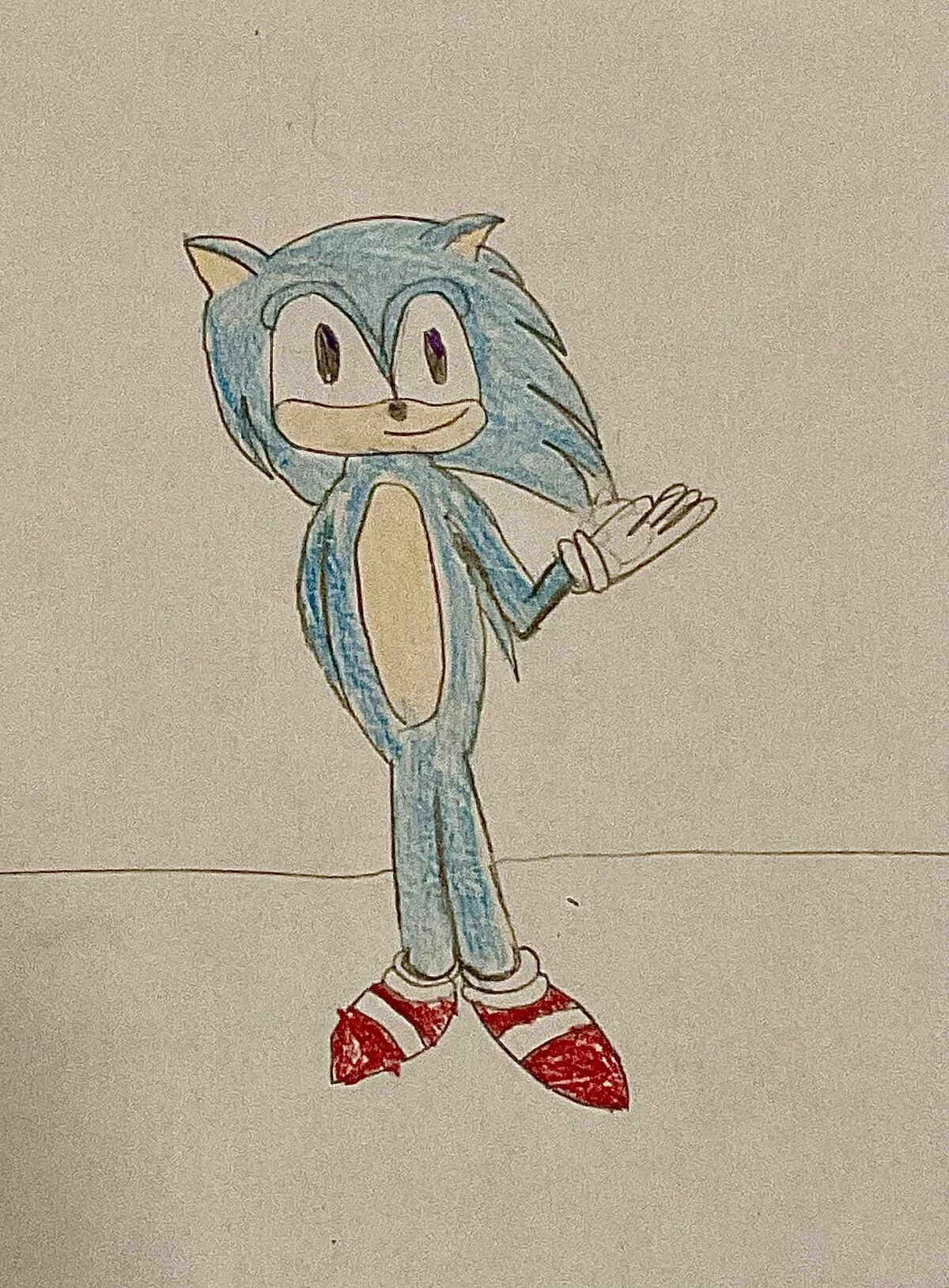 Literally Just Sonic. | Fandom