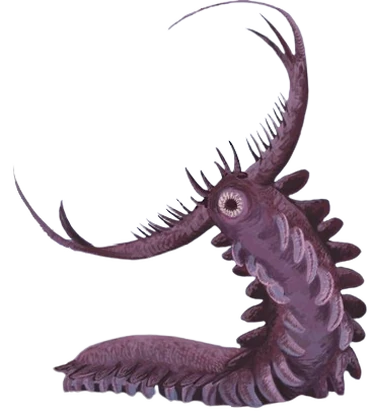 Dinopedia Makes a Zoo Reborn! Cambrian Critters! Top 2 Make It In! | Fandom