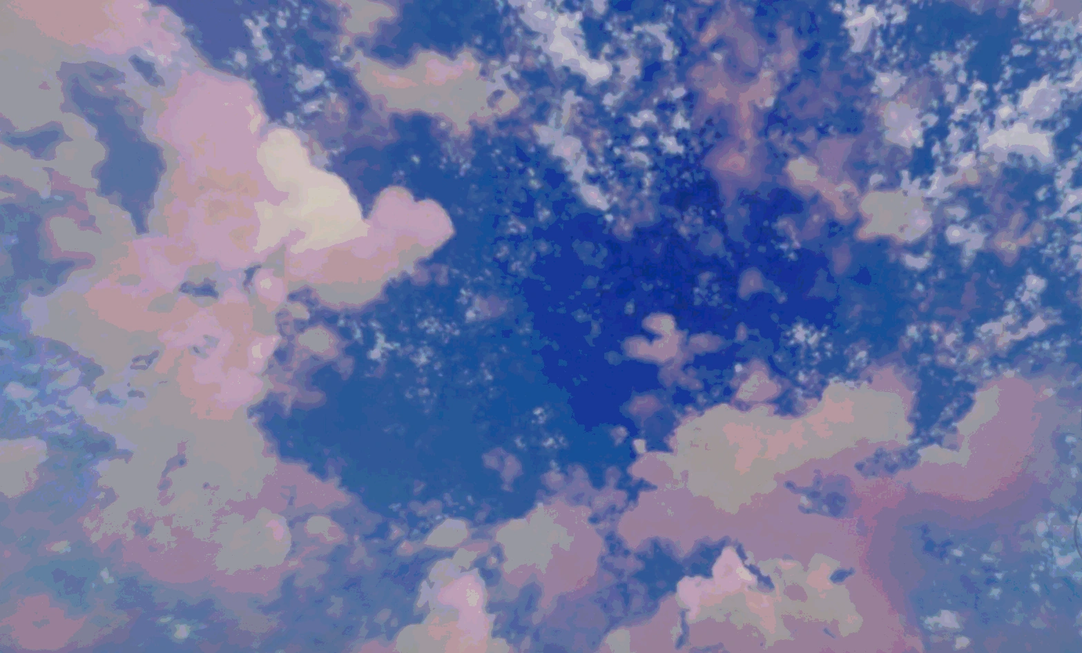 Sky | Fandom