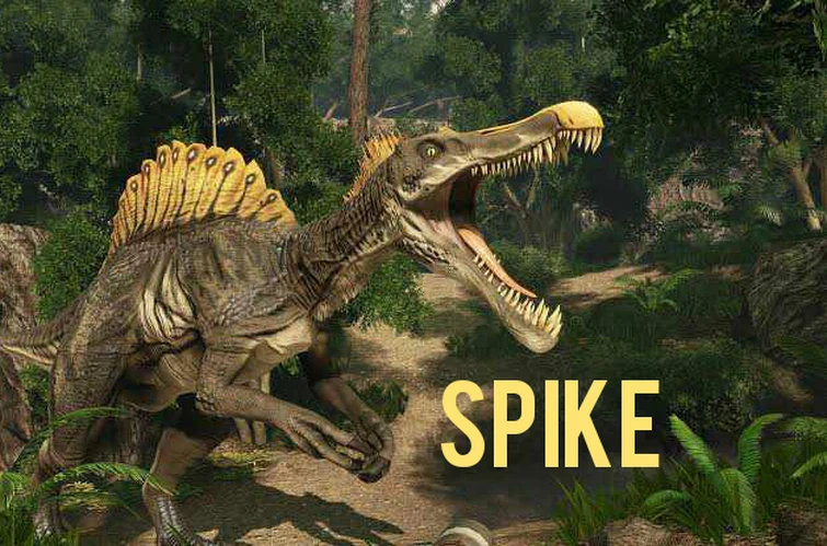 The Chonk Chart | Fandom