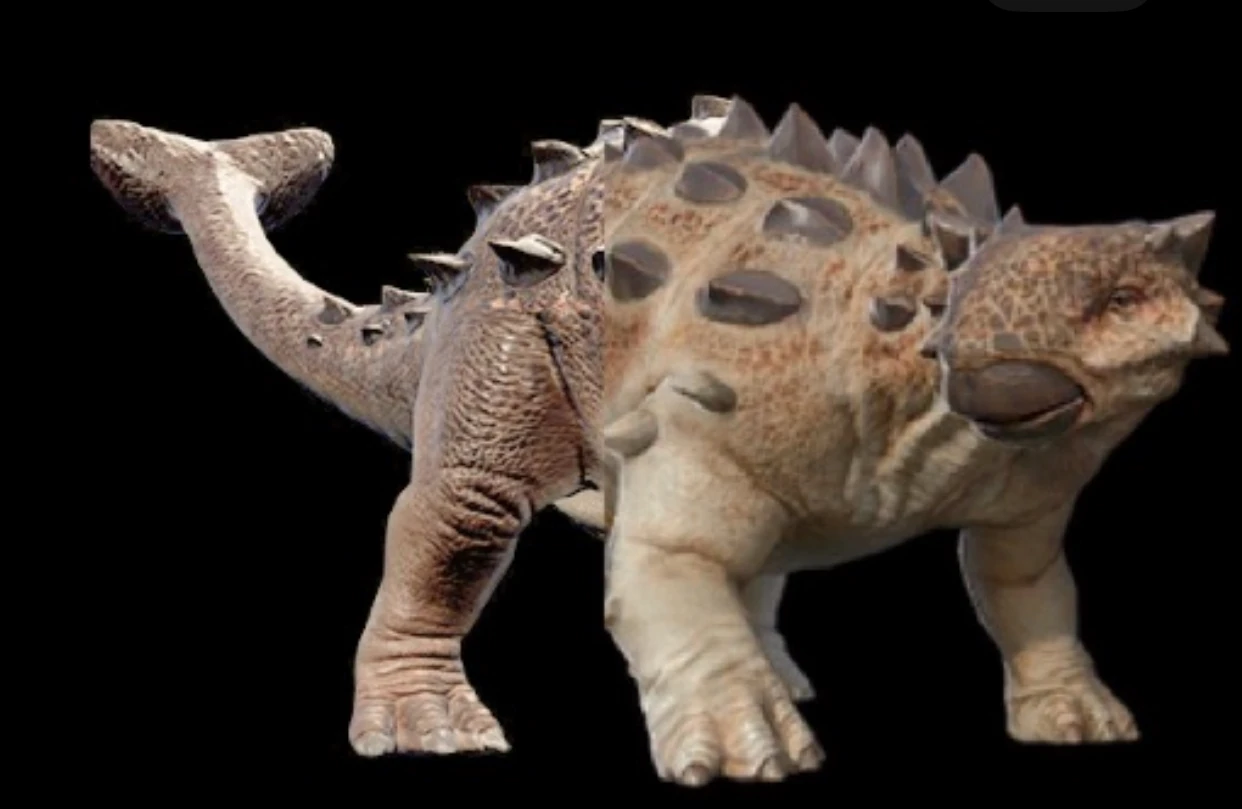 The Euoplocephalus welcomes you to the wiki. | Fandom