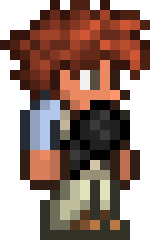 fnf vs a terraria character any1? | Fandom