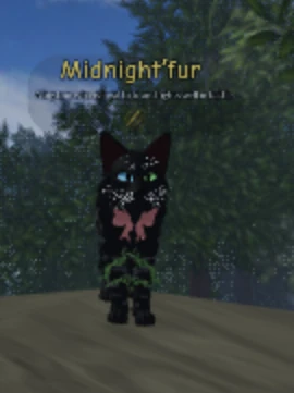 Midnight’fur | Fandom