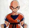 List of Krillin moves | Dragon Ball Moves Wiki | Fandom