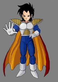 Princess Vegeta | Dragon Ball Fan Fiction Multiverse Wiki | Fandom