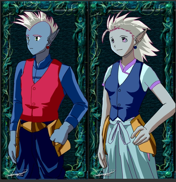 Shin-jin | Dragonball New Universe: Hopes Beginning Wiki | Fandom