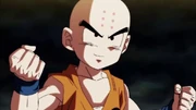 Krillin Power Levels | Dragon Ball Power Levels Wiki | Fandom