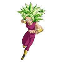 Kefla Power Levels | Dragon Ball Power Levels Wiki | Fandom