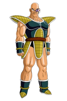 Nappa/All-Media | Dragon Ball Power Levels Wiki | Fandom