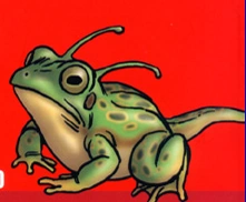 Namekian Frog/All-Media | Dragon Ball Power Levels Wiki | Fandom