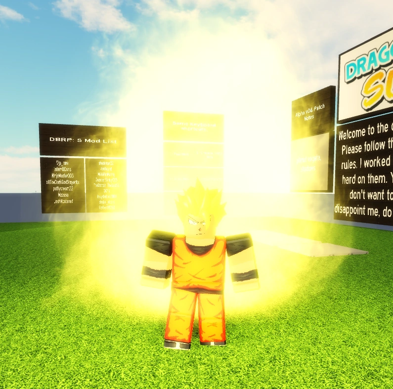 Custom Form | Dragon Ball Roleplay Successors Wiki | Fandom