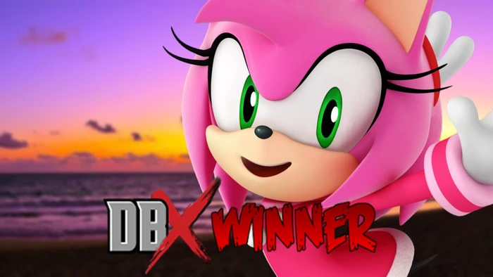 Nora Valkyrie vs Amy Rose | DBX Fanon Wikia | Fandom