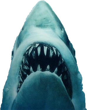Bruce (Jaws) | DBX Fanon Wikia | Fandom