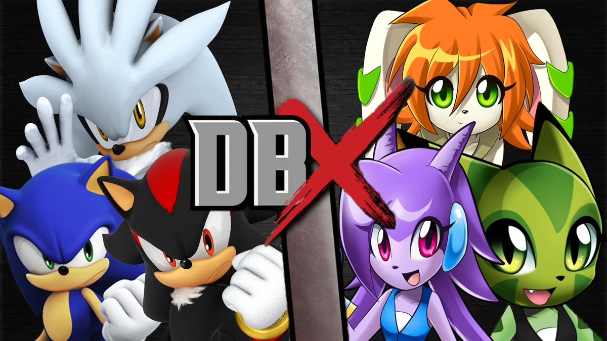 The Hedgehogs vs Team Lilac | DBX Fanon Wikia | Fandom