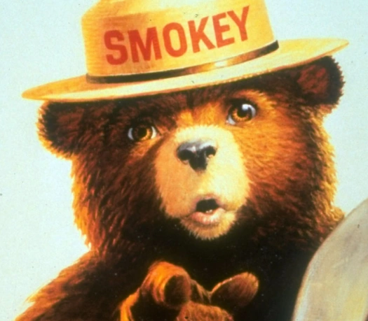 Smokey Bear | DBX Fanon Wikia | Fandom
