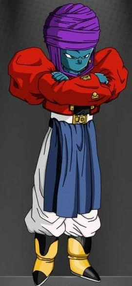Bujin | DBZ Attack of the saiyans Wikia | Fandom