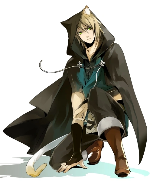 Bayani | DBZ Crossroads Wiki | Fandom