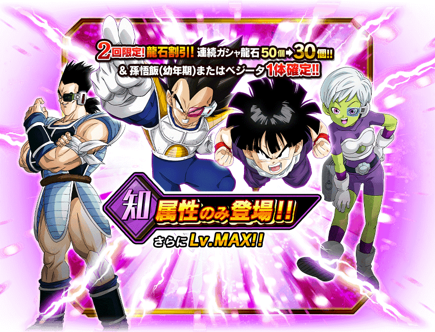 INT Character-Exclusive Summon | Dragon Ball Z Dokkan Battle Wiki | Fandom