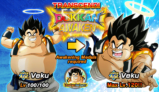 Fusion Reborn | Dragon Ball Z Dokkan Battle Wiki | Fandom