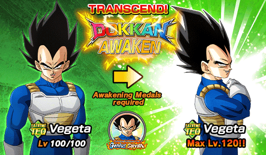 Shocking Evolution of the Genius Saiyan | Dragon Ball Z Dokkan Battle ...