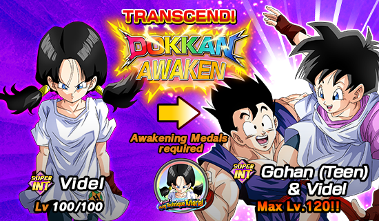 Videl's Flying Technique Tutorial | Dragon Ball Z Dokkan Battle Wiki ...