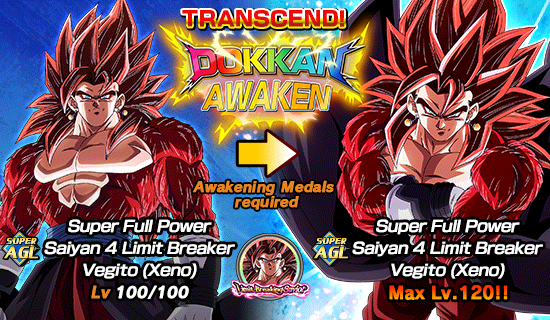 Limit-Breaking Savior | Dragon Ball Z Dokkan Battle Wiki | Fandom