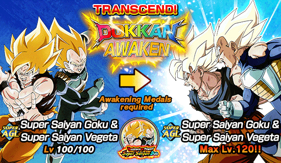 Destructive Power! Super Saiyan Duo | Dragon Ball Z Dokkan Battle Wiki ...