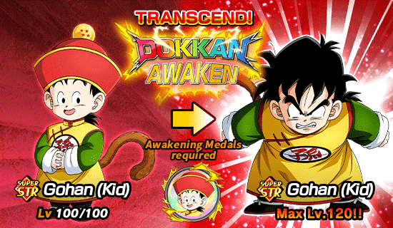 Inherited Power | Dragon Ball Z Dokkan Battle Wiki | Fandom
