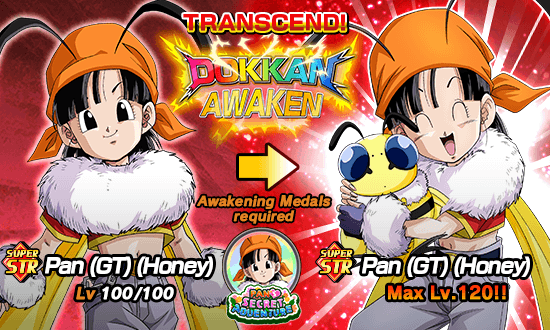 Pan's Secret Adventure | Dragon Ball Z Dokkan Battle Wiki | Fandom