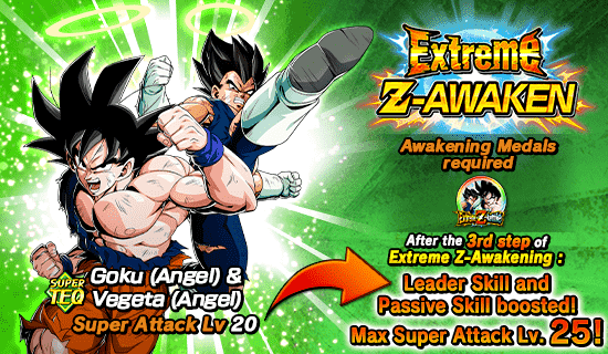 Extreme Z-Battle: Fusion Reborn Goku (Angel) & Vegeta (Angel) | Dragon ...