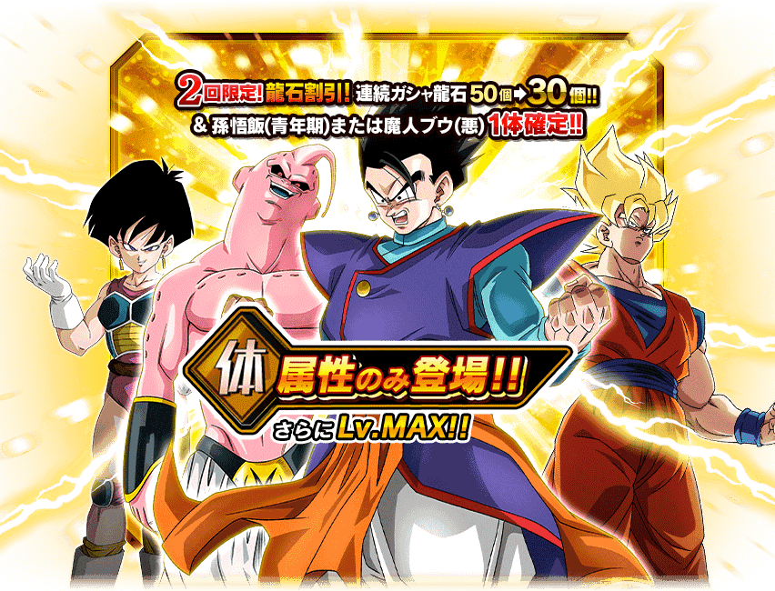 PHY Character-Exclusive Summon | Dragon Ball Z Dokkan Battle Wiki | Fandom