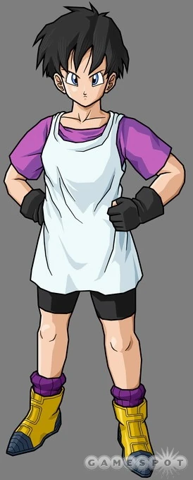 Videl | Dragon Ball Z Budokai Tenkaichi 2 Wiki | Fandom