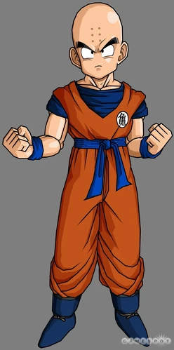 Krillin | Dragon Ball Z Budokai Tenkaichi 2 Wiki | Fandom