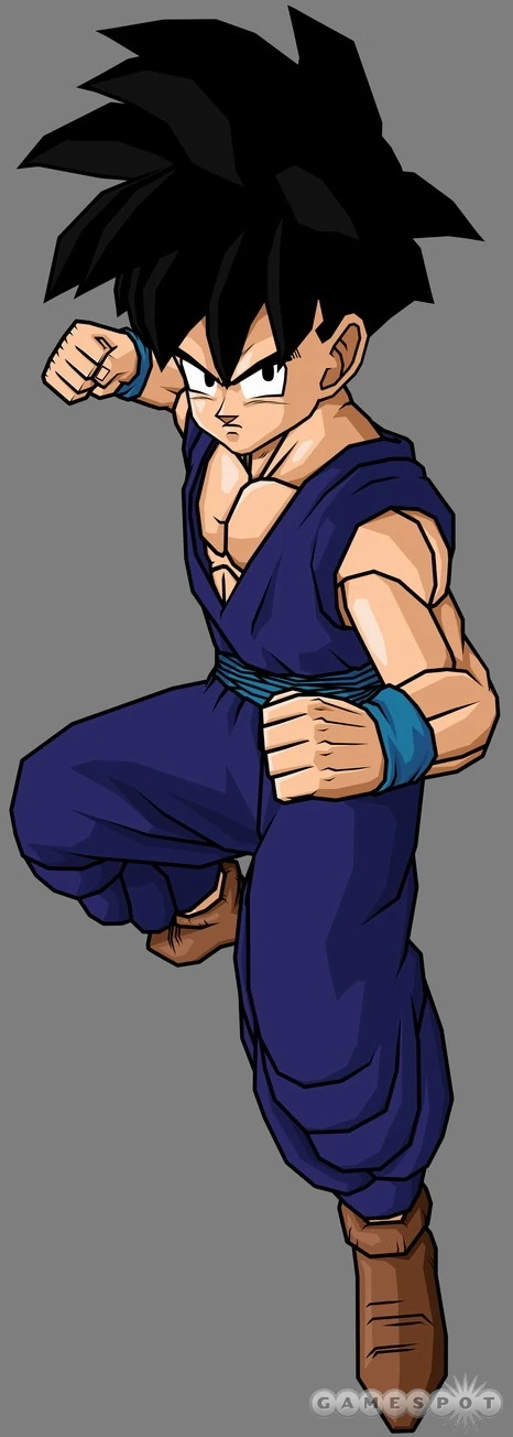Teen Gohan | Dragon Ball Z Budokai Tenkaichi 2 Wiki | Fandom