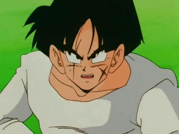 Yamcha | DBZ Maja Future Wiki | Fandom