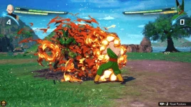 Wild Sense | Sparking! ZERO Wiki | Fandom