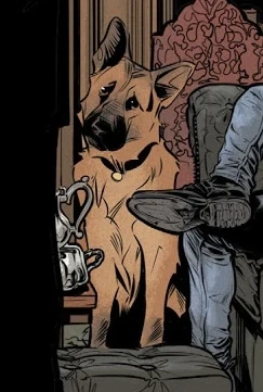 Ace the Bat-Hound | DC Alternate Universe Wiki | Fandom
